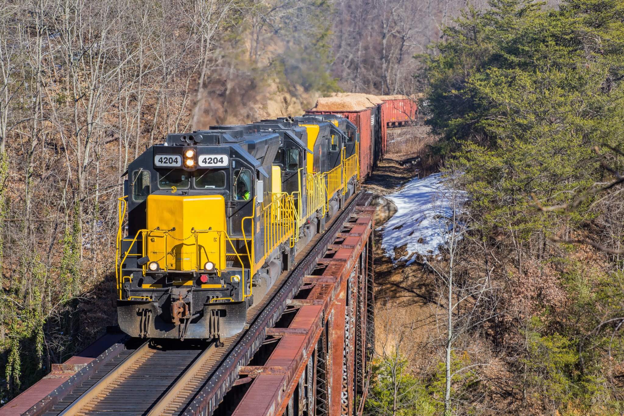 Blue Ridge Southern Railroad (BLU) - Watco